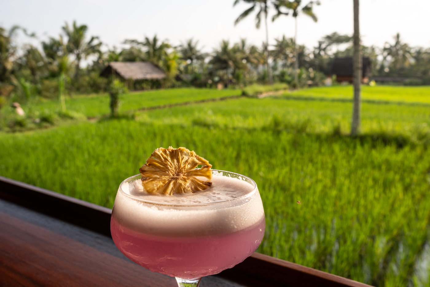 Biji dalam Berita: Tayangan Media | Begawan Biji